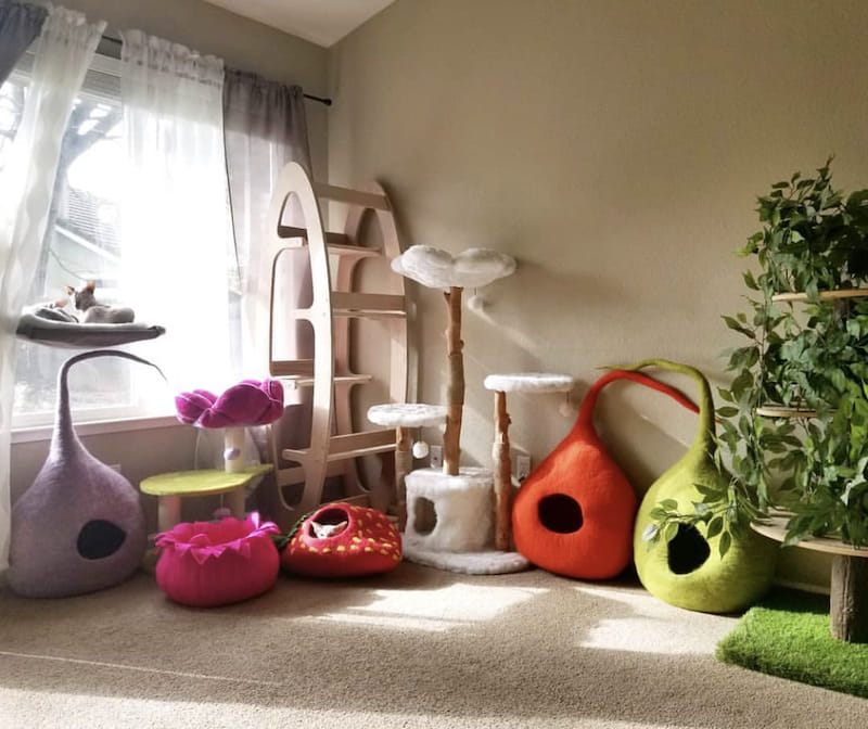 Tour The Cat Room Cat Room Foster Cat Cat House Diy